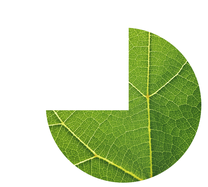 Investments - Sower Investment Partners