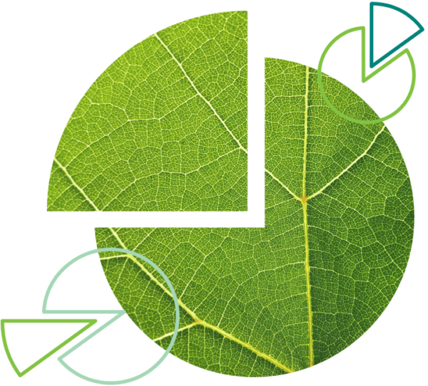 Sower Home Page - Sower Investment Partners