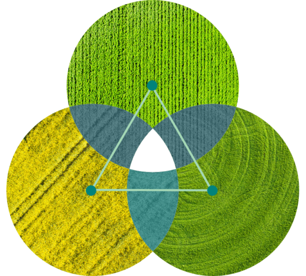 Sower Home Page - Sower Investment Partners